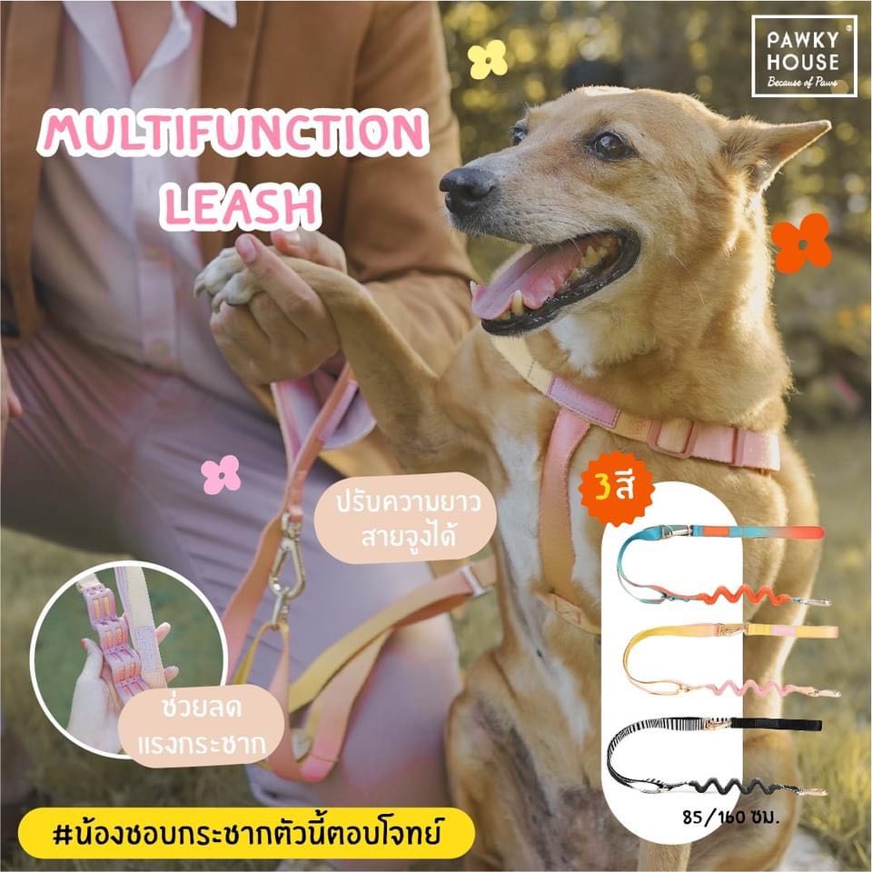 สายจูงสุนัข Multifunction Leash - Pawky House จากตัวแทนจำหน่ายอย่างเป็น ...