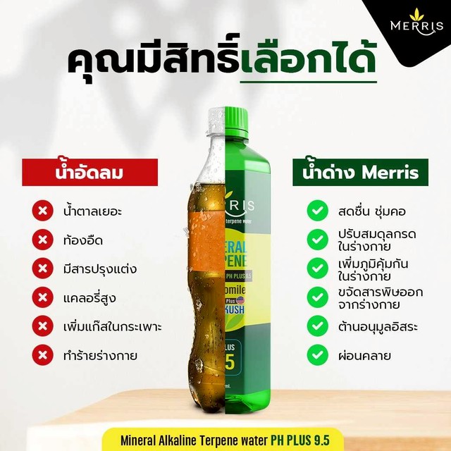 น้ำเมอริส Merris Mineral Alkaline | LINE SHOPPING