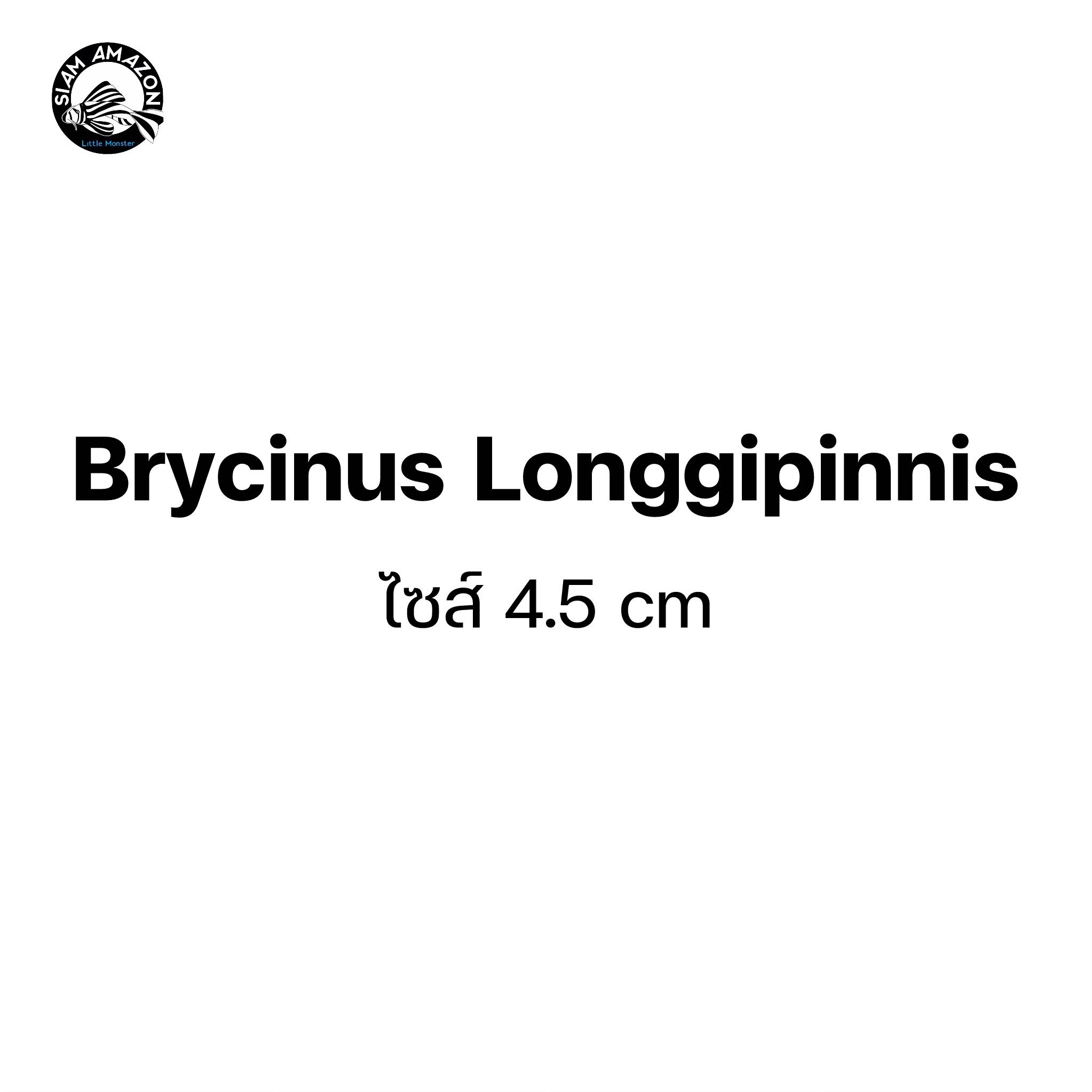 | ปลาเข้าใหม่ล่าสุด New Fish Arrival | LINE SHOPPING