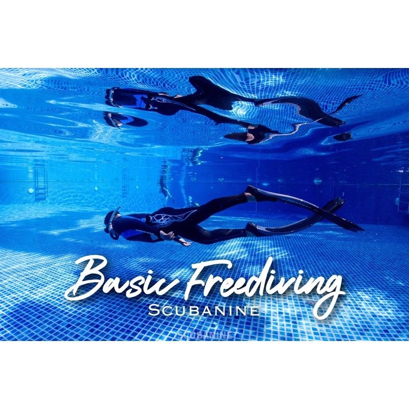 Basic Freediving course | LINE SHOPPING