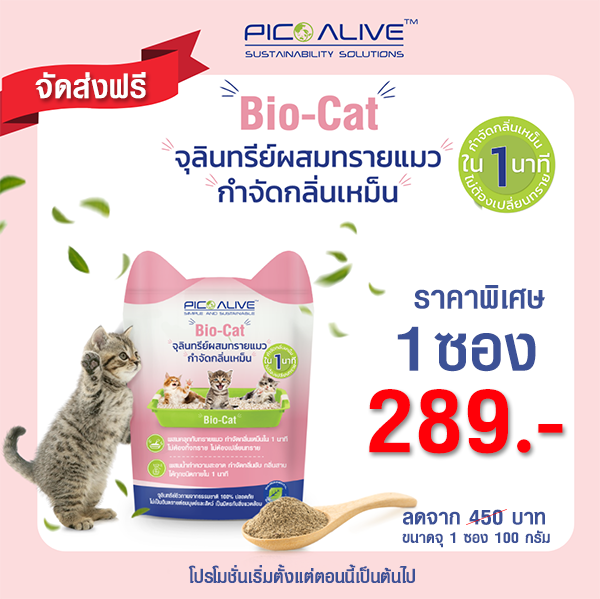 Bio Cat [100g] จุลินทรีย์ผสมทรายแมวกำจัดกลิ่นเหม็นภายใน1นาทีไม่เป็น ...