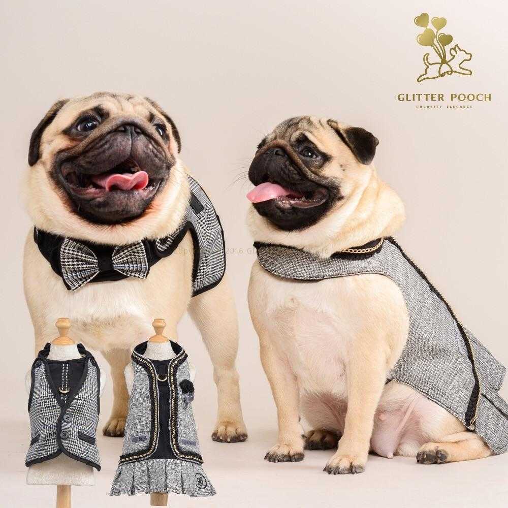 Classy Coco - Black DOG & CAT HARNESS | LINE SHOPPING
