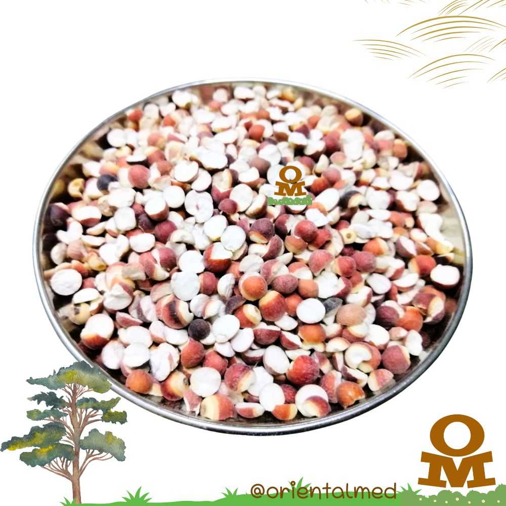 สมุนไพรจีน เชียนซือ Qian Shi เขี่ยมซิก Euryale Seeds, Foxnut | LINE ...