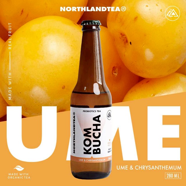 Kombucha pack x 6 bottles (Mixed) | LINE SHOPPING