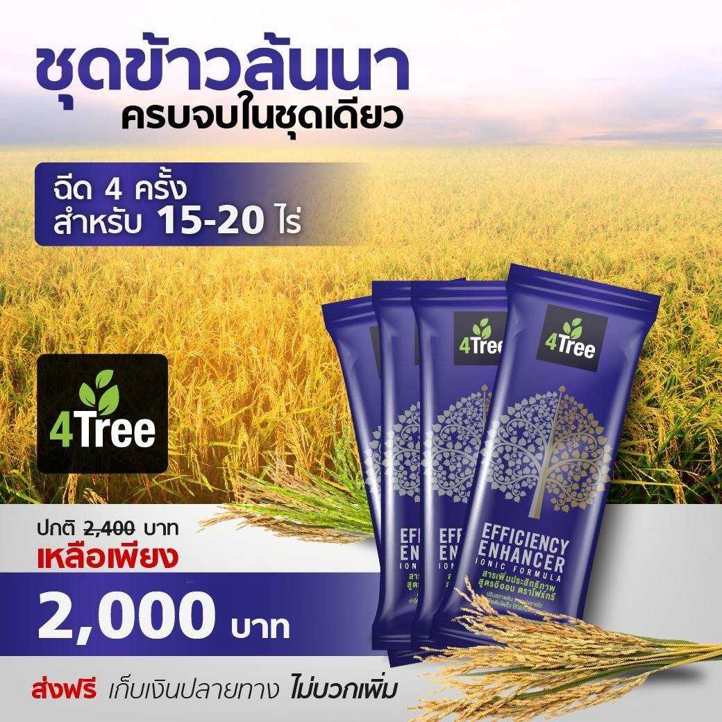 4Tree - ชุดข้าวล้นนา(4T-4 ซอง) - 003 | LINE SHOPPING