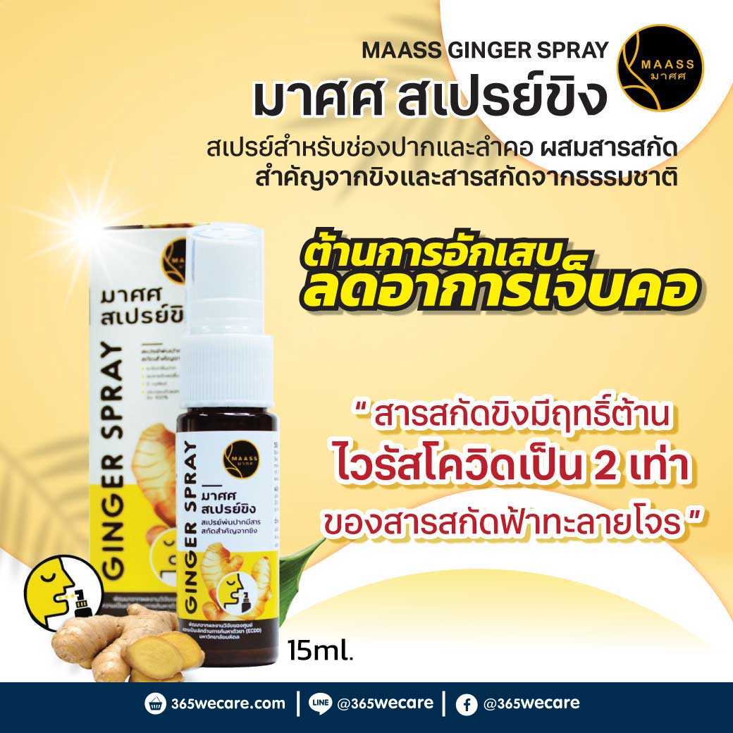 MAASS Ginger Spray 15ml.(มาศศสเปรย์ขิง) สเปรย์ขิง สเปรย์สำหรับช่องปาก ...