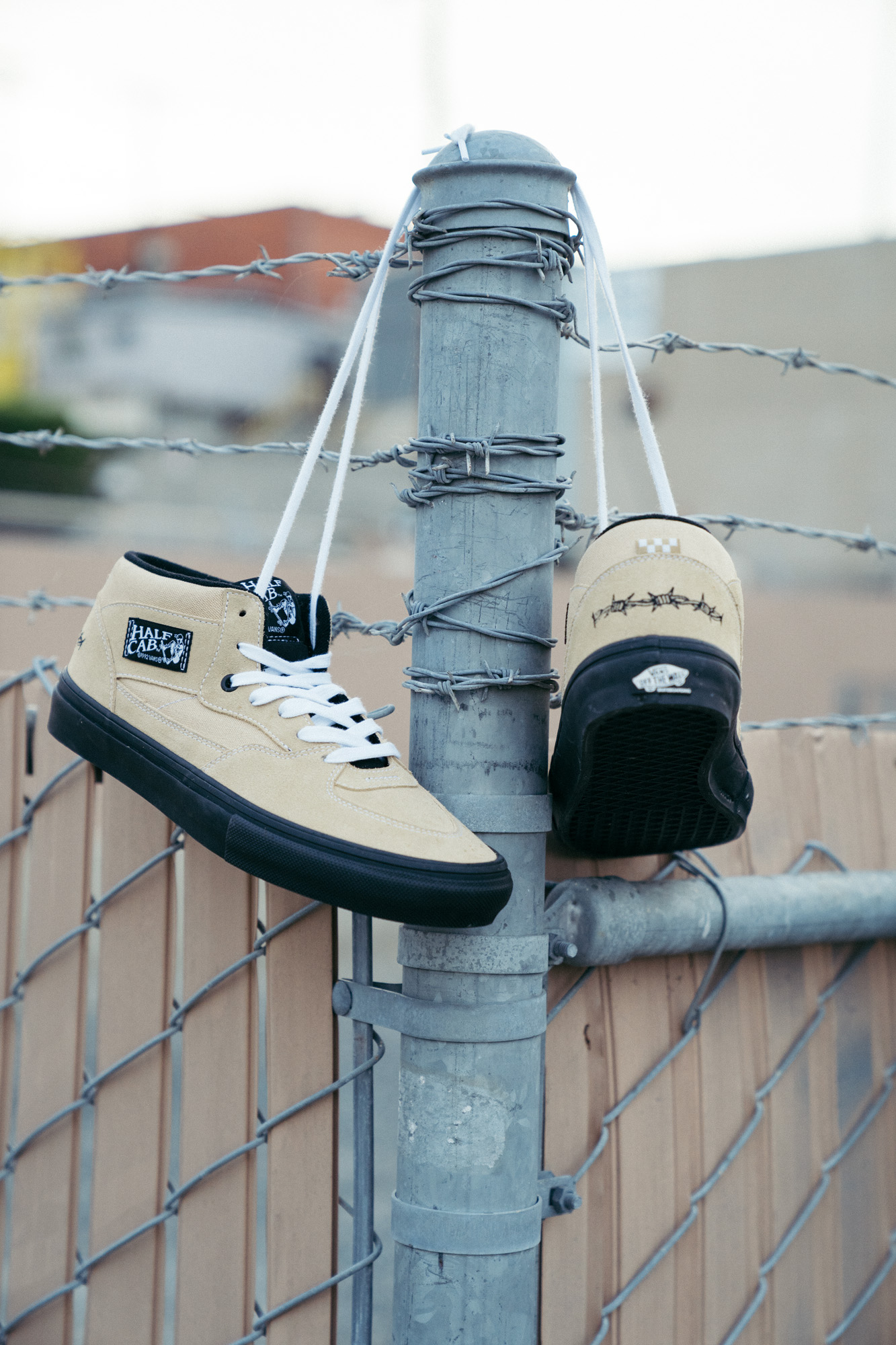 VANS THAILAND | LINE SHOPPING