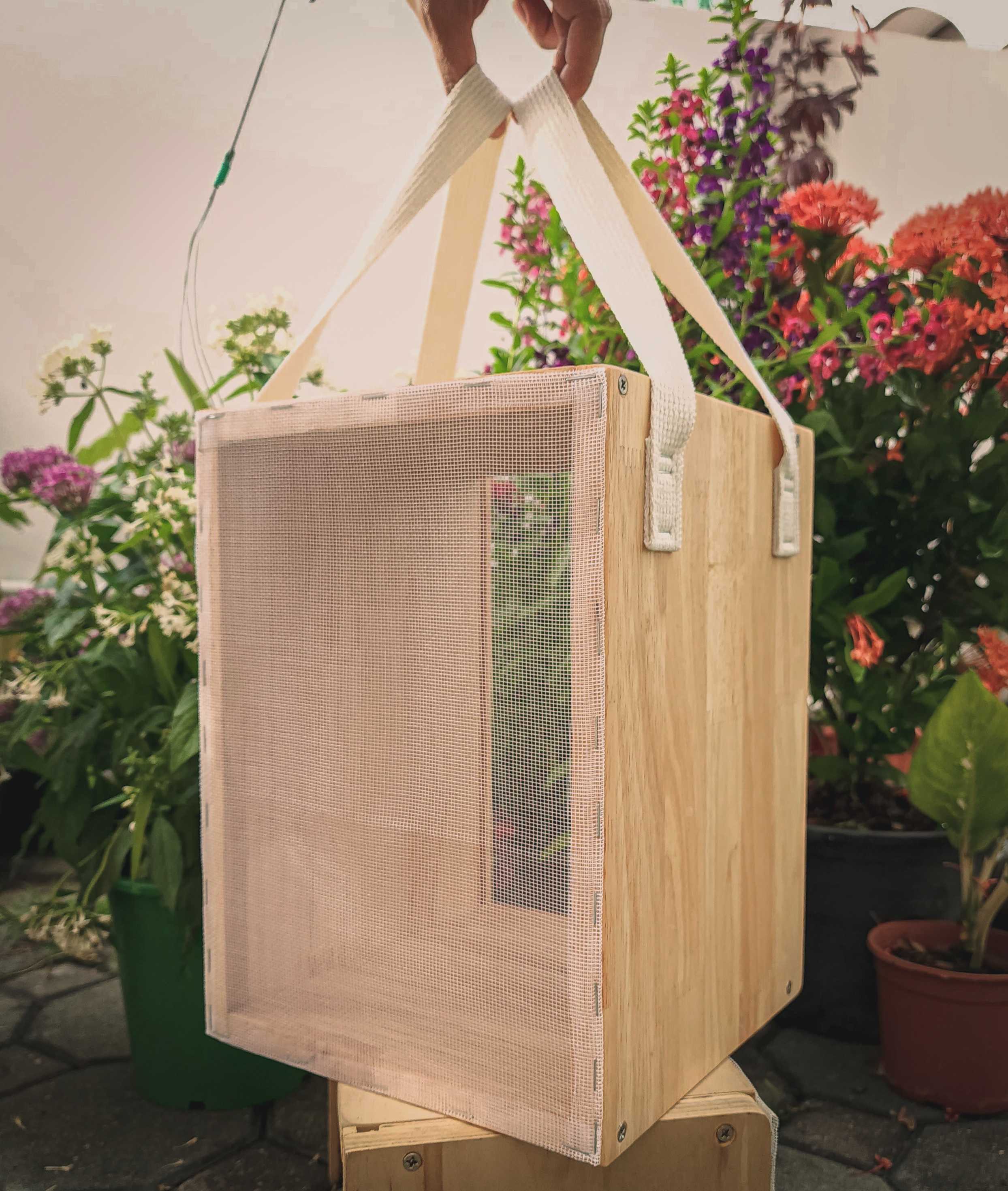 Little Simple insect box - butterfly box and moth box for caring ...