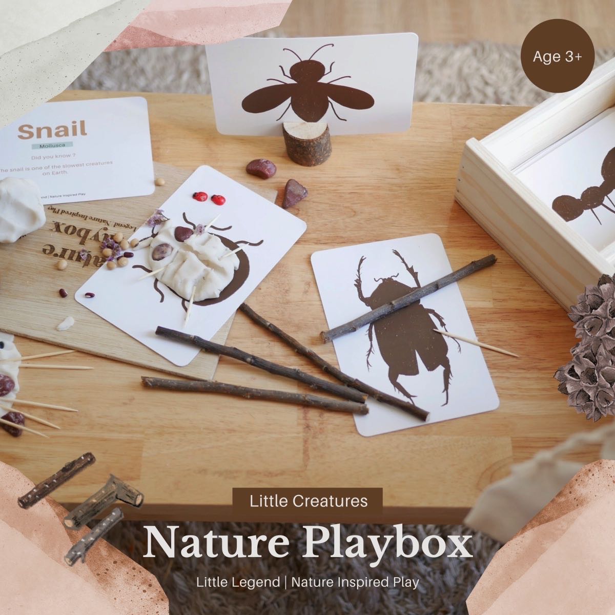 NATURE PLAYBOX : LITTLE CREATURES | LINE SHOPPING