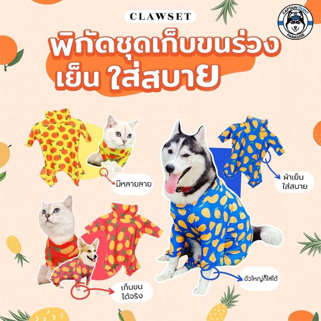 Clawset Fruity Collection ชุดกันขนร่วง ลายผลไม้ ส้ม | LINE SHOPPING