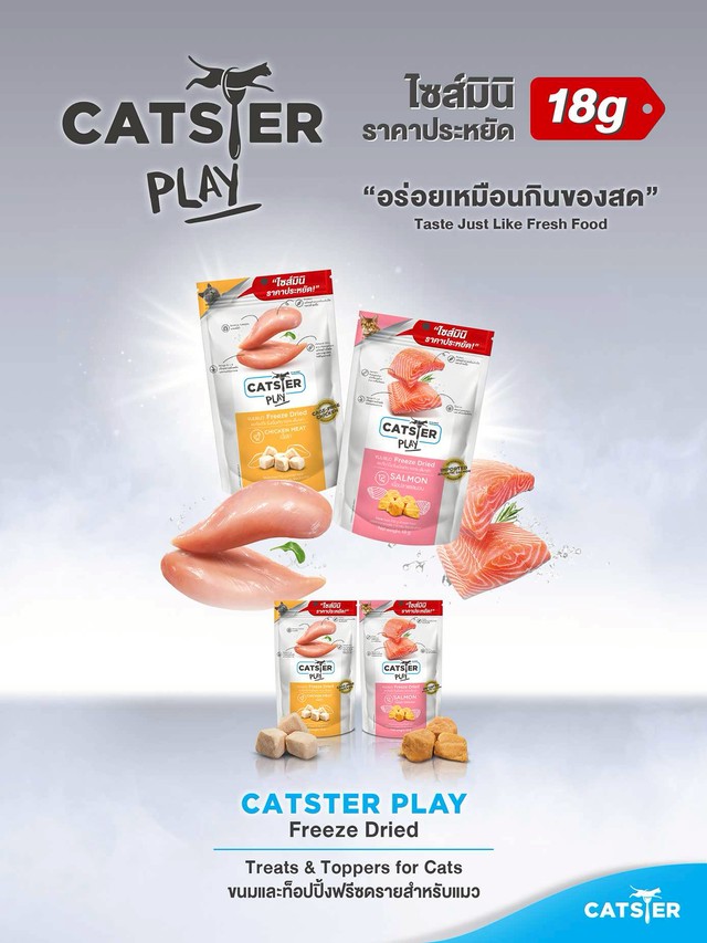 NEW! 18g. Catster Play Chicken formula | LINE SHOPPING