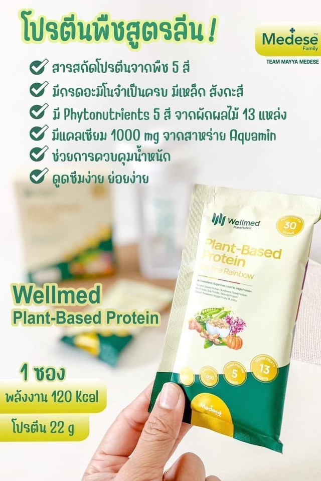 Wellmed Plant-based Protein | LINE SHOPPING