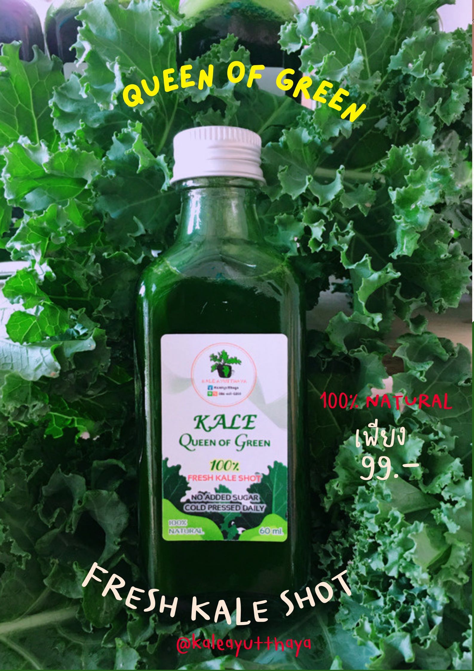 KALE SHOT - 60 ml. | LINE SHOPPING