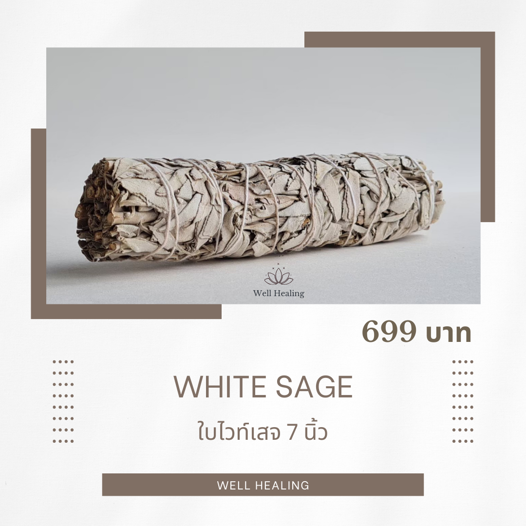 | Energy Clearing tools แยกชิ้น | LINE SHOPPING