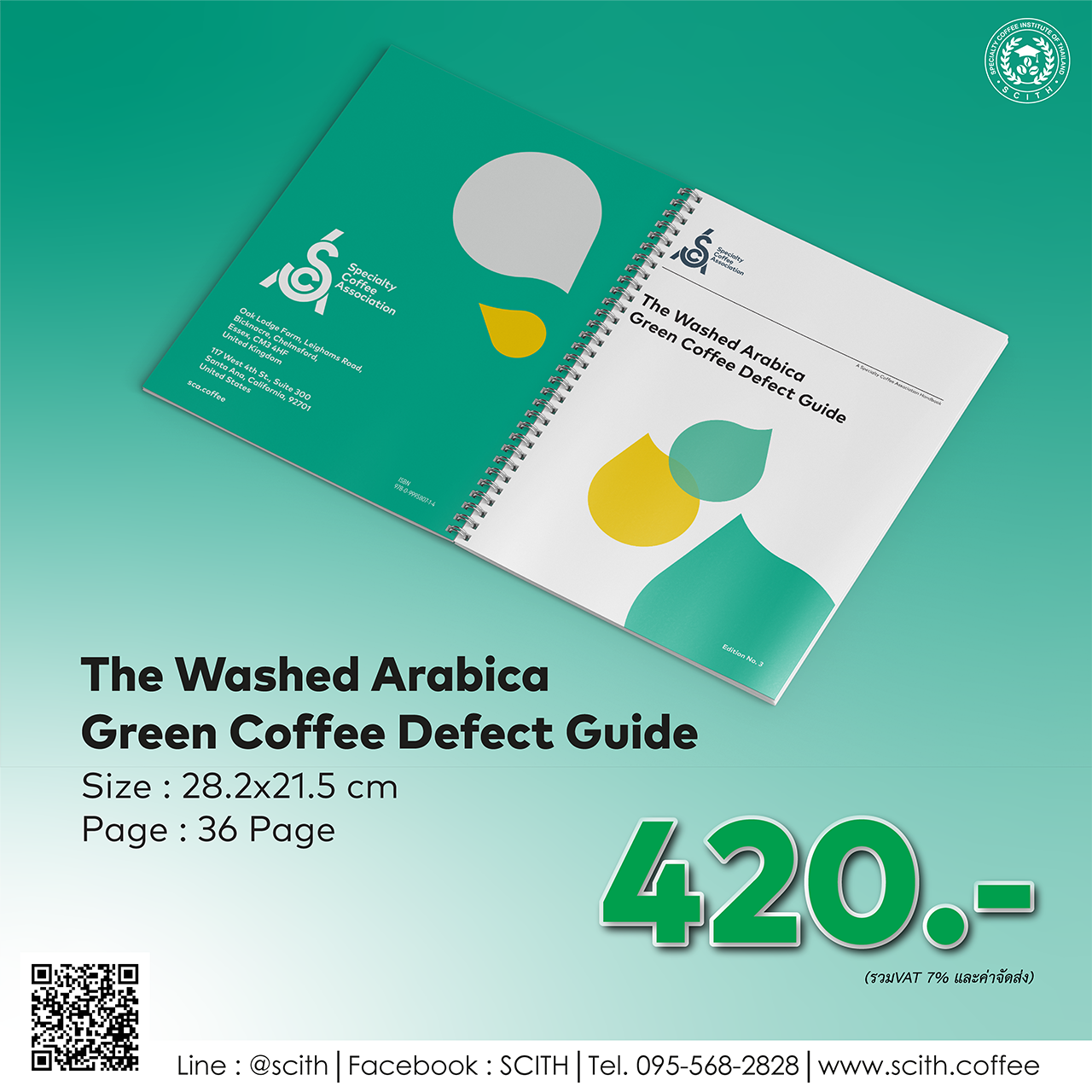 The Washed Arabica Green Coffee Defect Guide | LINE SHOPPING
