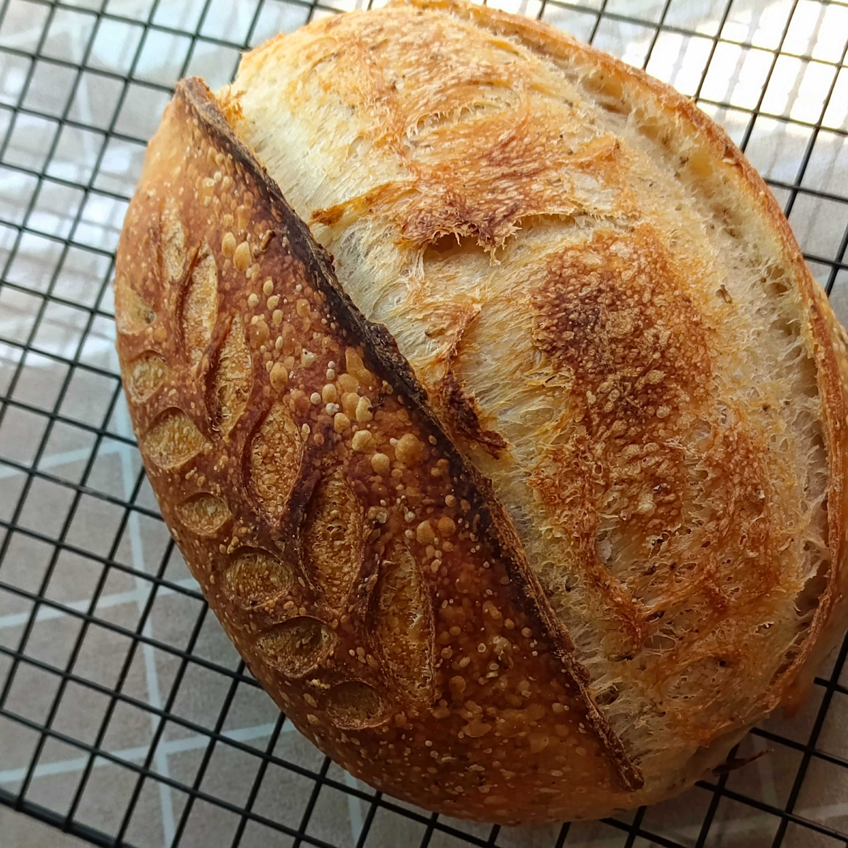 | Sandwich Bread | LINE SHOPPING