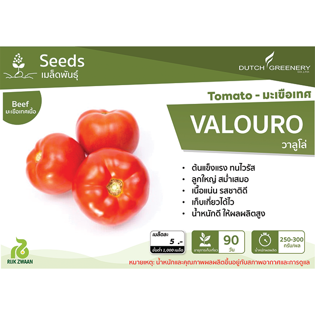 Tomato - Solarino RZ F1 | LINE SHOPPING